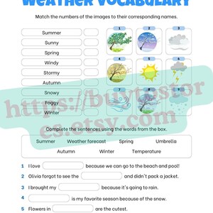 White Colorful Vocabulary Worksheet - Etsy