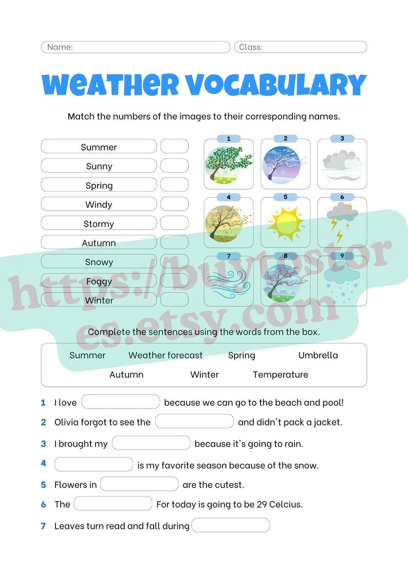 White Colorful Vocabulary Worksheet - Etsy