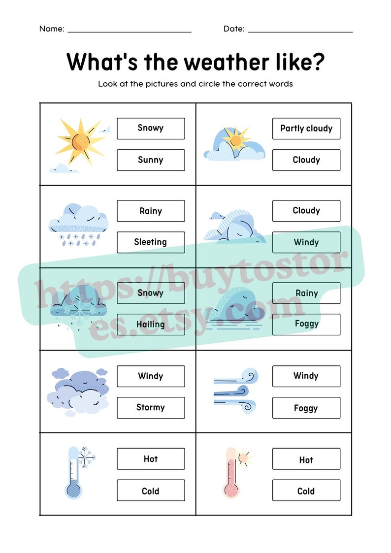 White Colorful Vocabulary Worksheet - Etsy