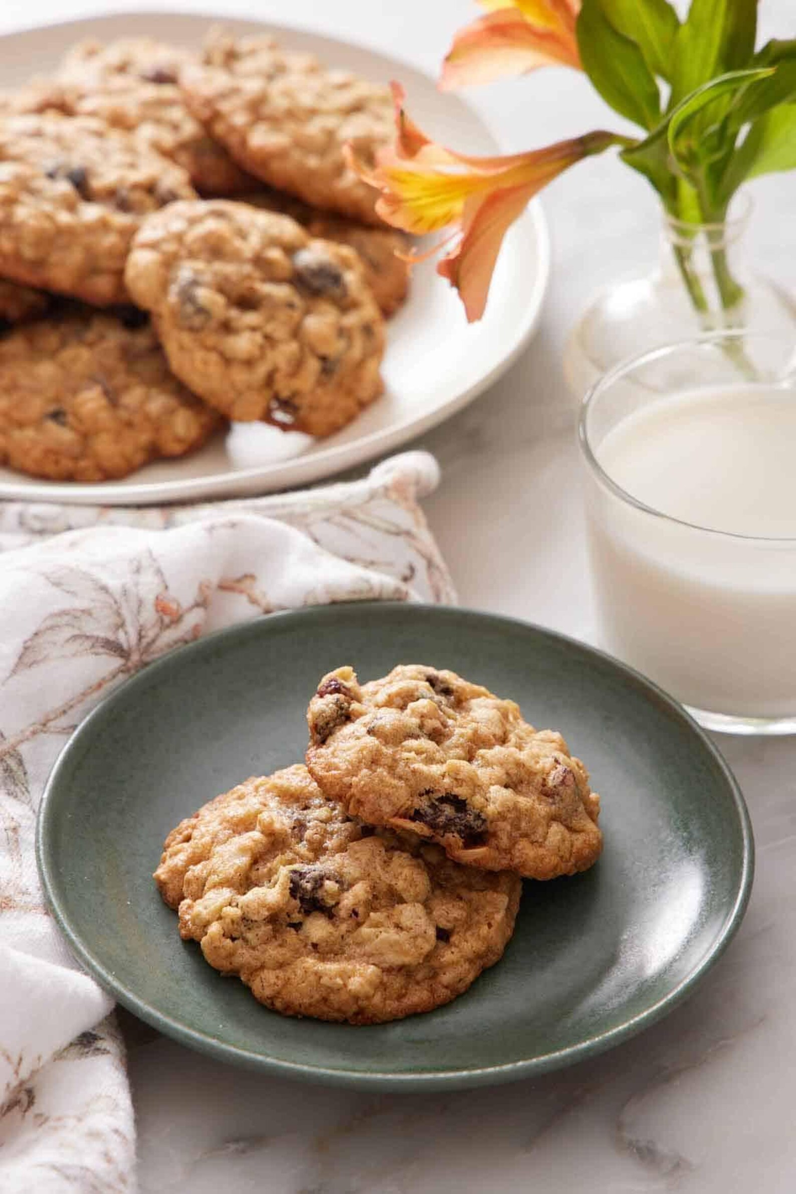 Oatmeal Cookie Recipe Printable – Baby Friendly Snack – Family Baking ...