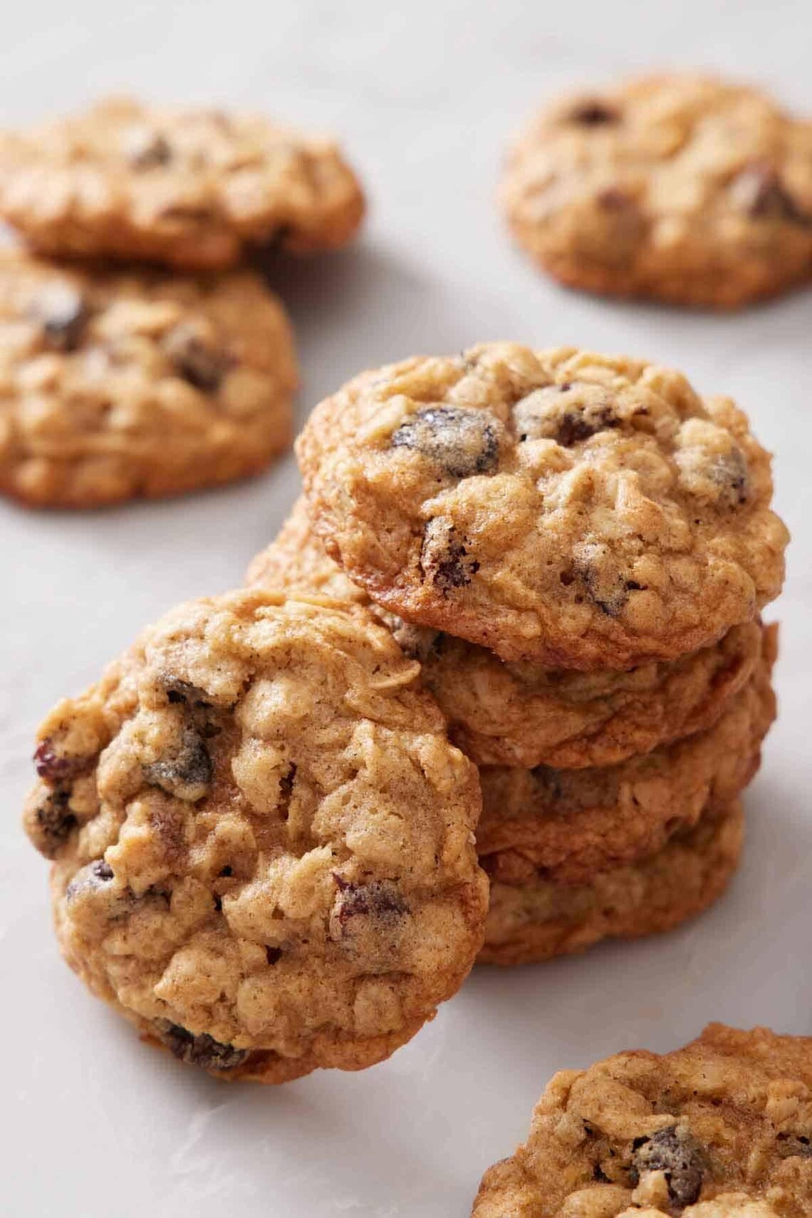 Oatmeal Cookie Recipe Printable – Baby Friendly Snack – Family Baking ...