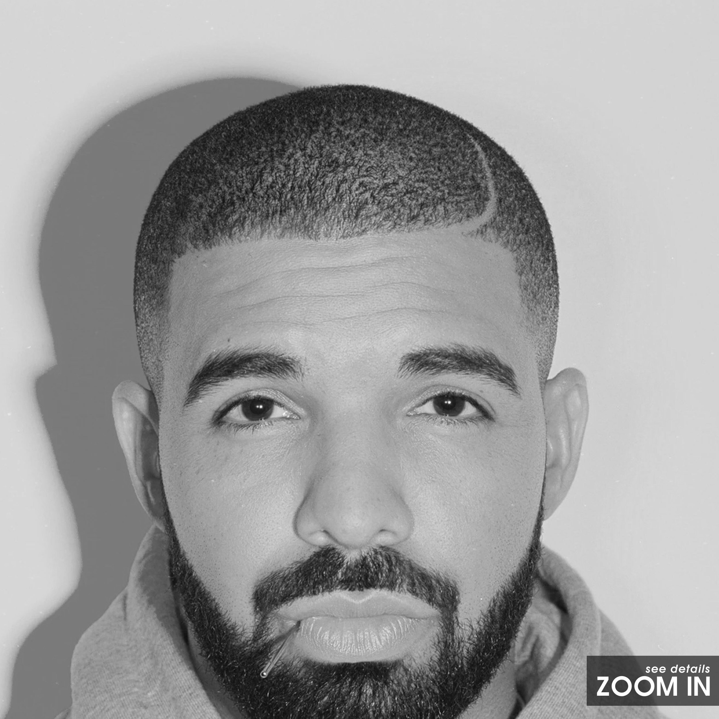 Drake Posters / Drake Black and White Wall Art, Music Poster, Home ...