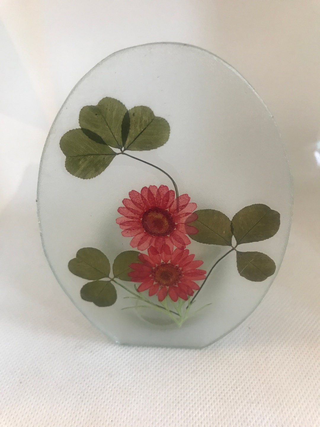 Vintage Pressed Dried Clover & Flower Petal Votive Tea Light Holder - Etsy