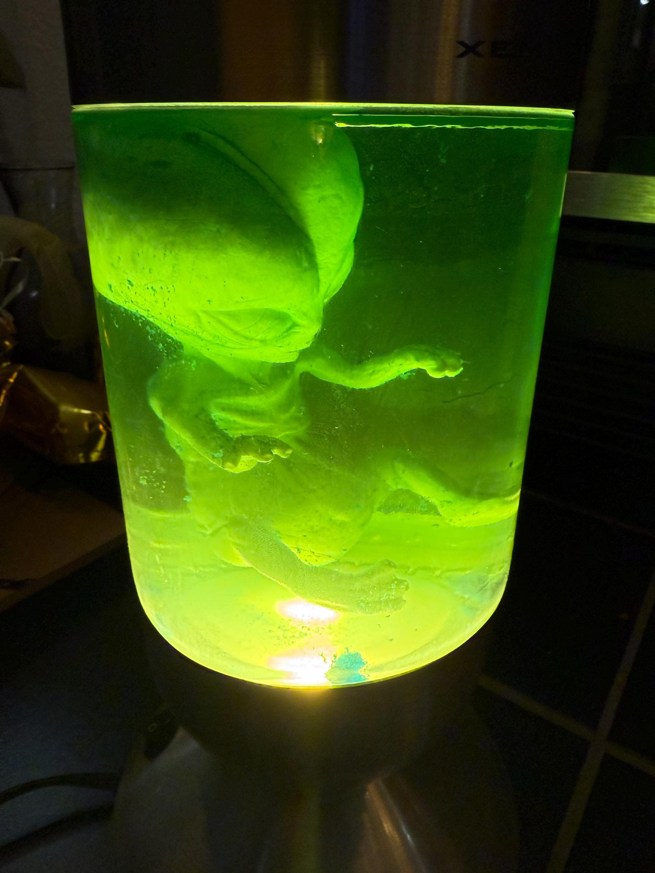 XEMU XENO Alien Embryo Lamp – A Sci-fi Collector’s Dream! - Etsy