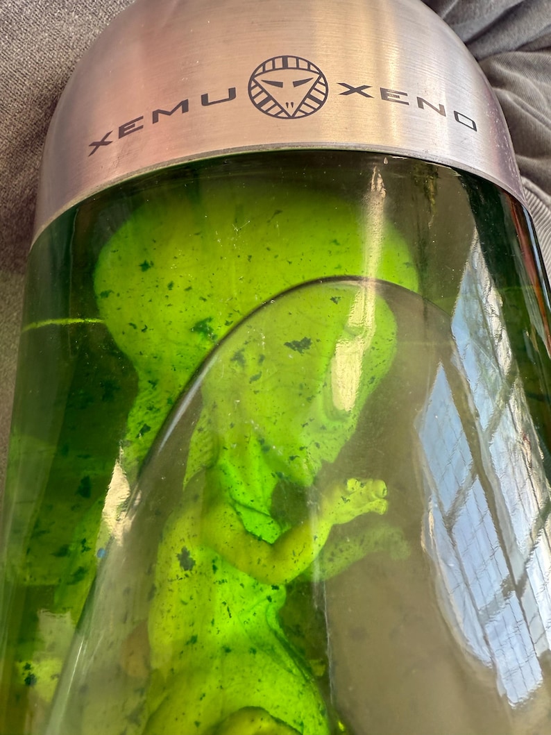 XEMU XENO Alien Embryo Lamp – A Sci-fi Collector’s Dream! - Etsy