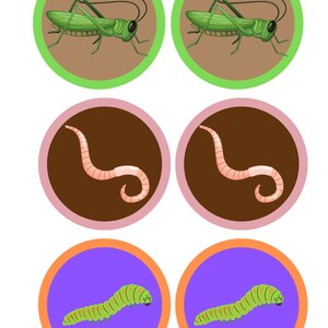 Spring Fun Printable Pack - Etsy