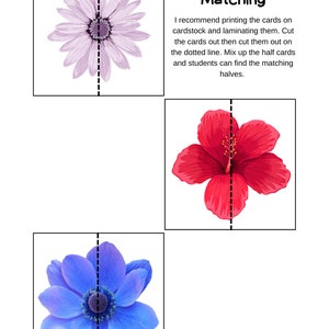 Spring Fun Printable Pack - Etsy