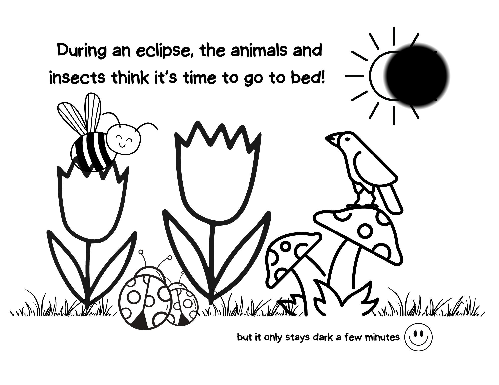 2024 Solar Eclipse Preschool Coloring Pack - Etsy