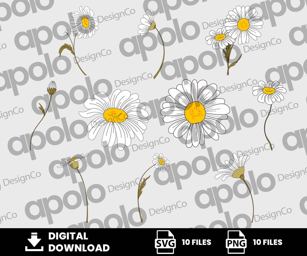 Clipart, Mother's Day Svg, White Daisy Svg, Flower Svg, White Svg ...