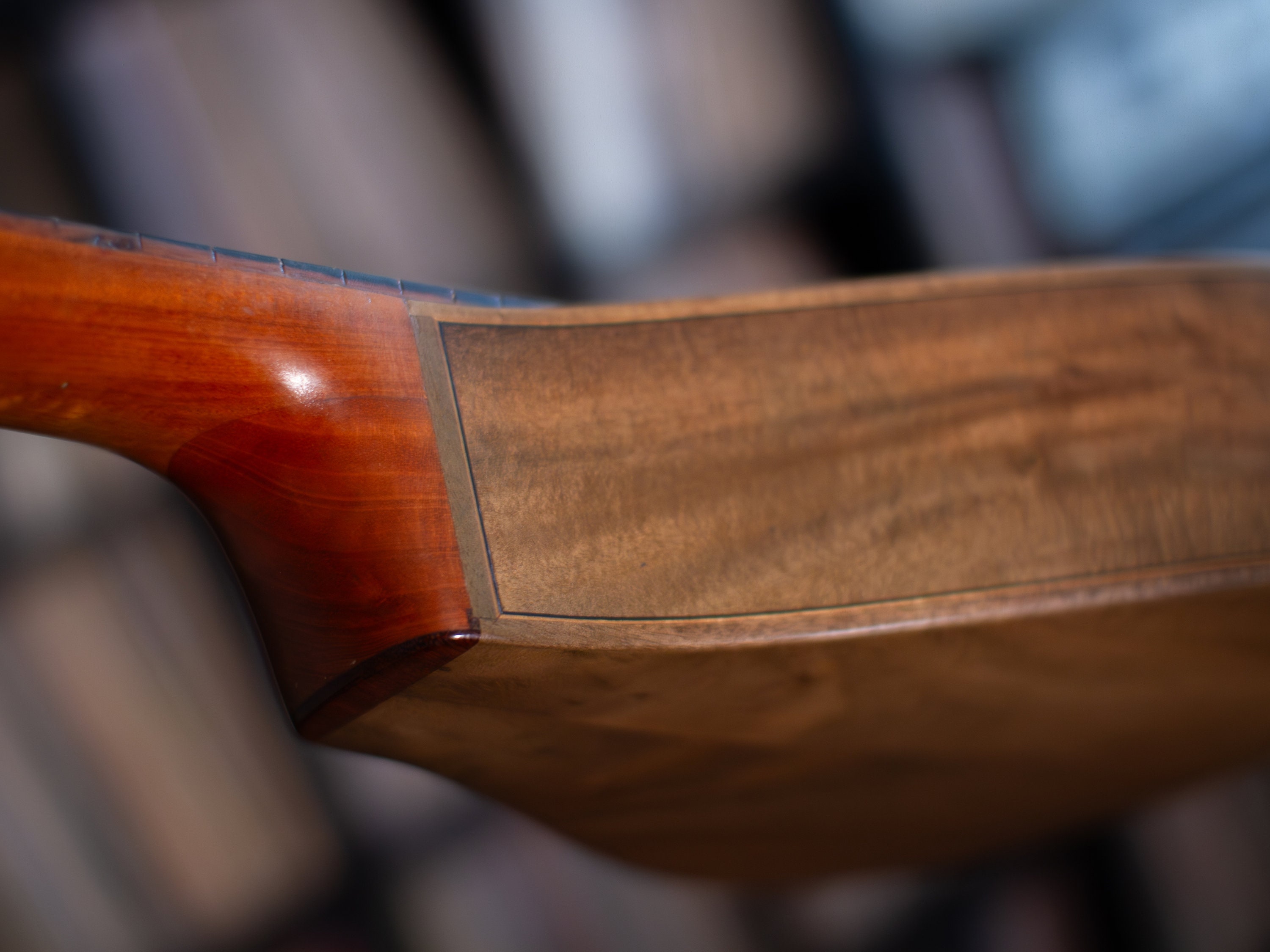 Concerto Red Cedar Top Ukulele With Acacia Back and Sides - Etsy