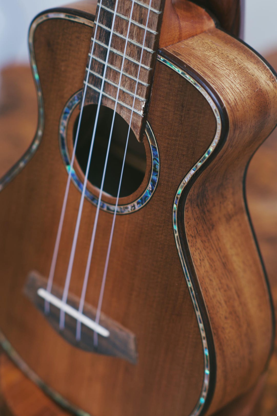 Signature Concerto Otso Red Cedar Top With Acacia Back and Sides - Etsy