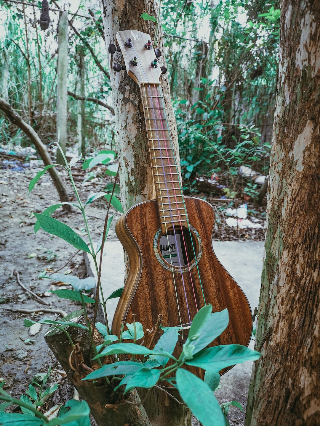 Handmade Koa Concerto Ukulele: Filipino Crafted Instrument - Etsy