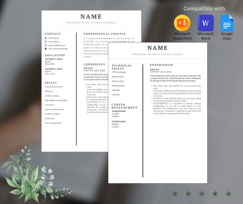 Professional CV Template. Easy to Edit, and Now, in Excel Format. Save ...