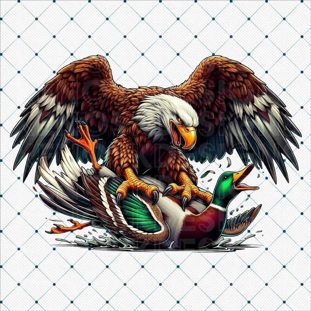 Bald Eagle Attacking Mallard Duck PNG - Predator Vs Prey Wildlife Art ...