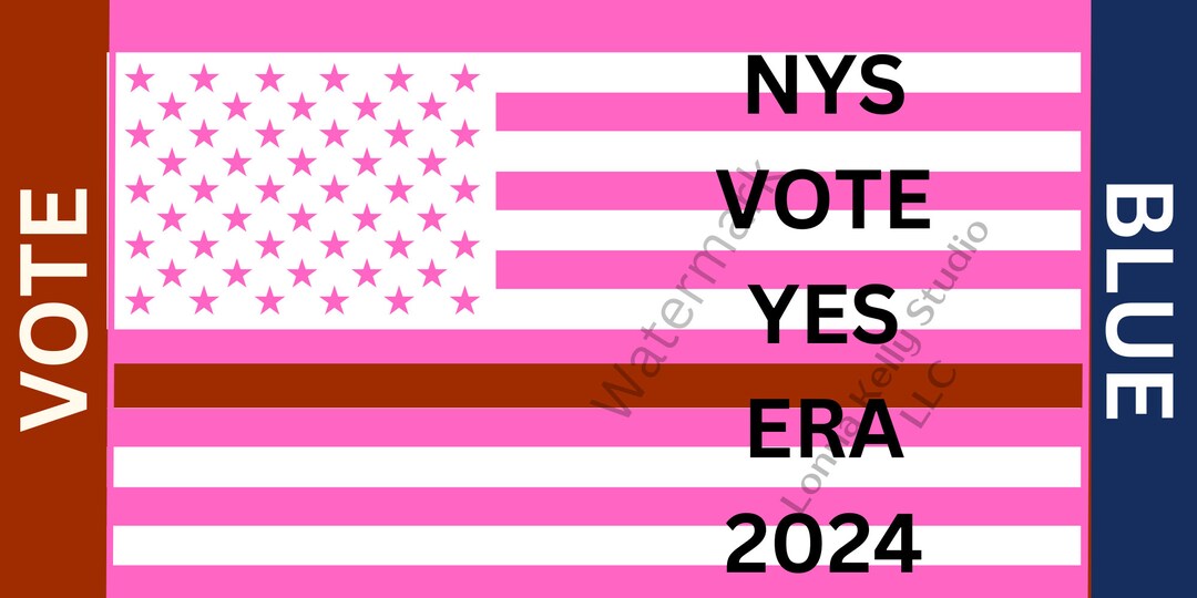 Vinyl Sticker, Indoors Outdoors, 2024 Decal, Bumper Sticker NYS Vote ...