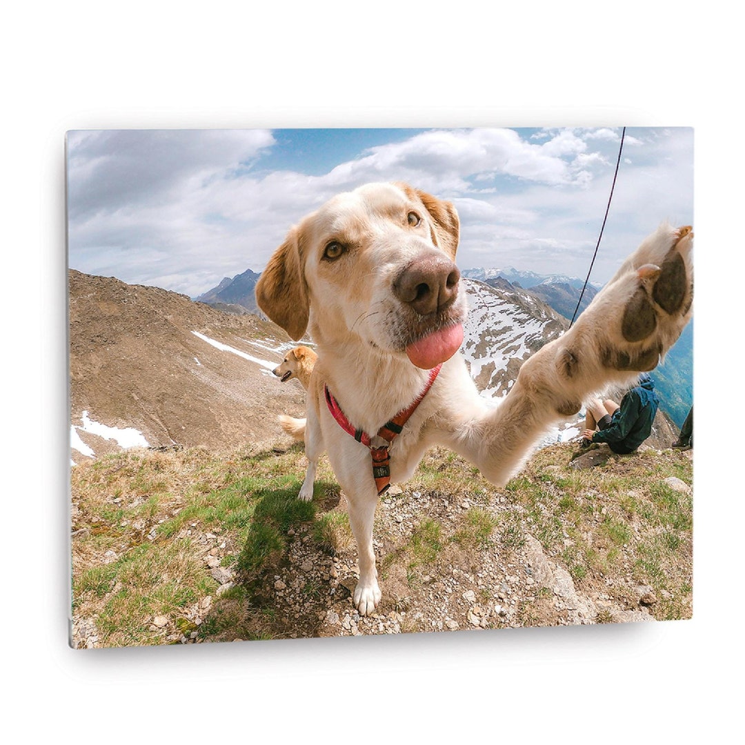 Custom Metal Photo Print: Personalized Wall Art, Ready to Hang - Etsy