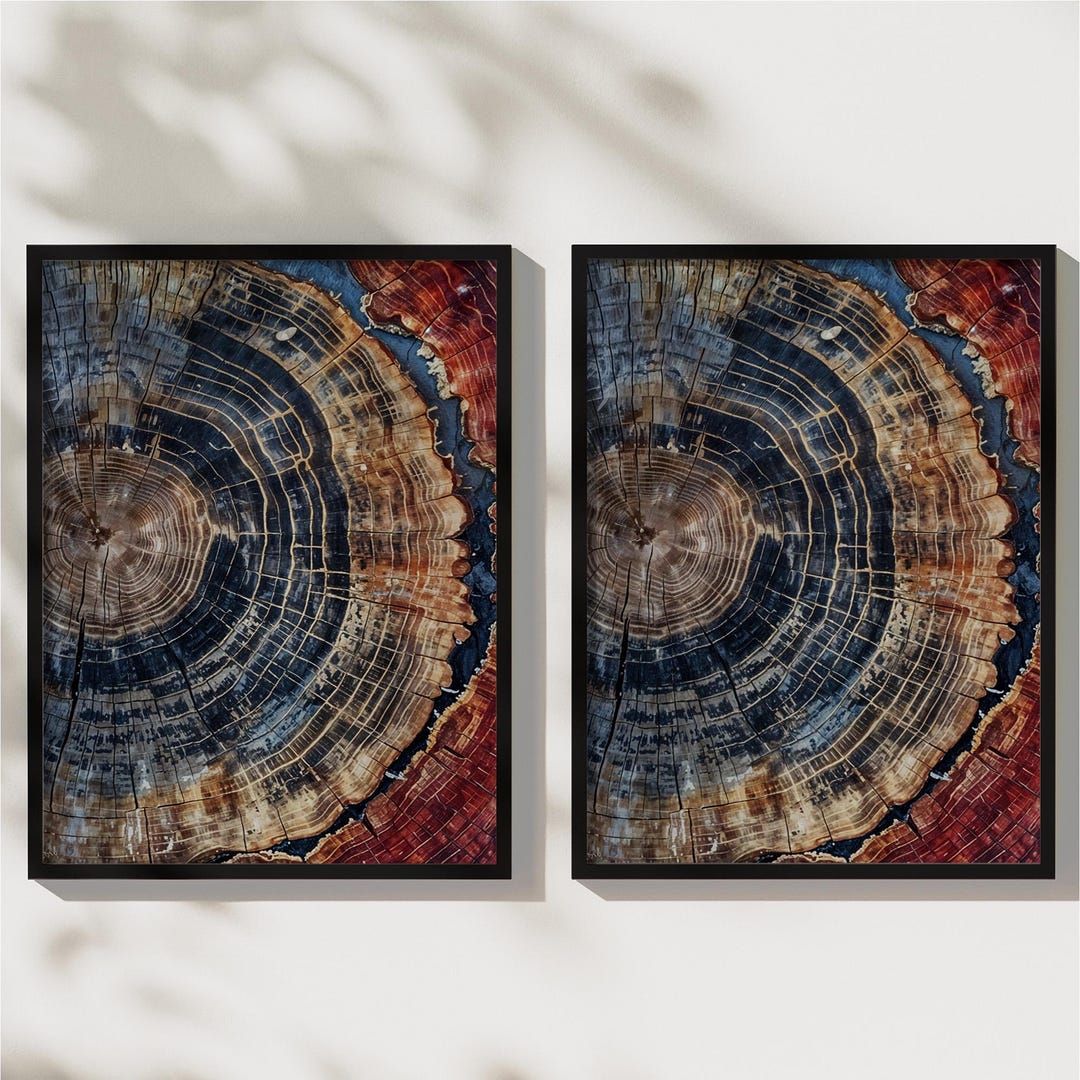 Tree Ring Framed Wall Art, Minimalist Home Wall Art, Farmhouse Decor ...