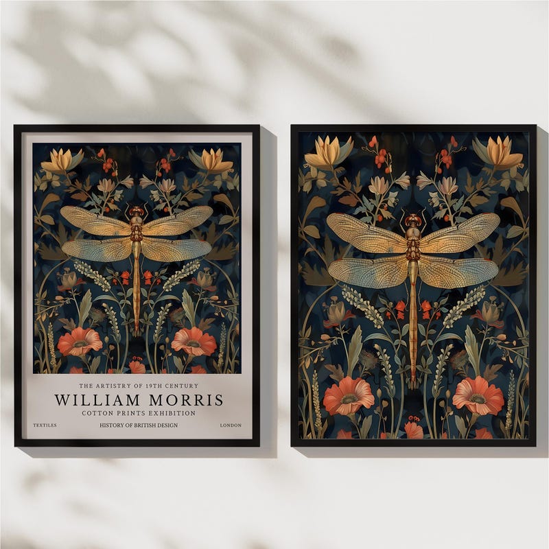 Small Dragonfly Pictures - Etsy