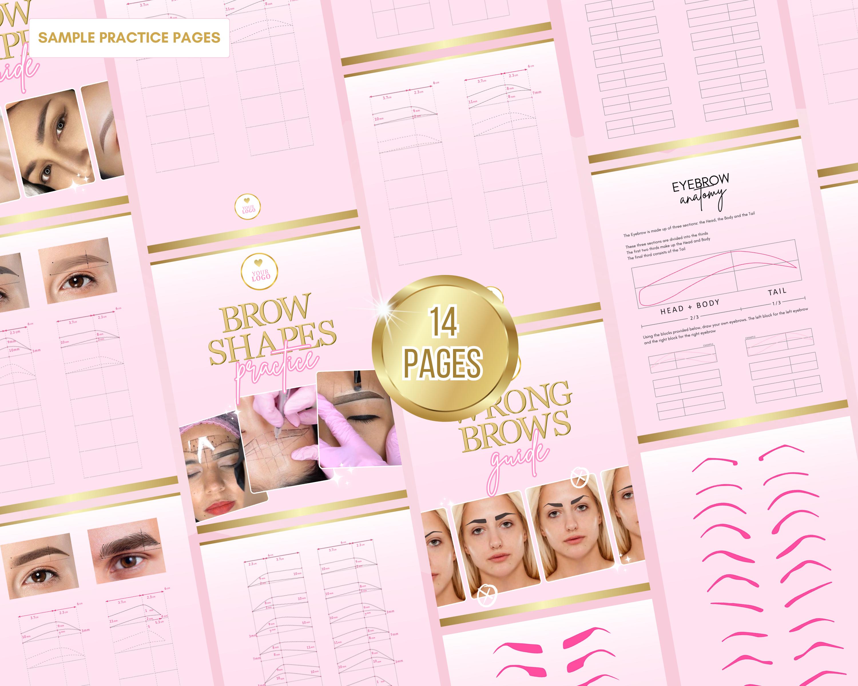 Eyebrow Shapes Guide, Brow Shapes Practice, Student Practice Sheets ...