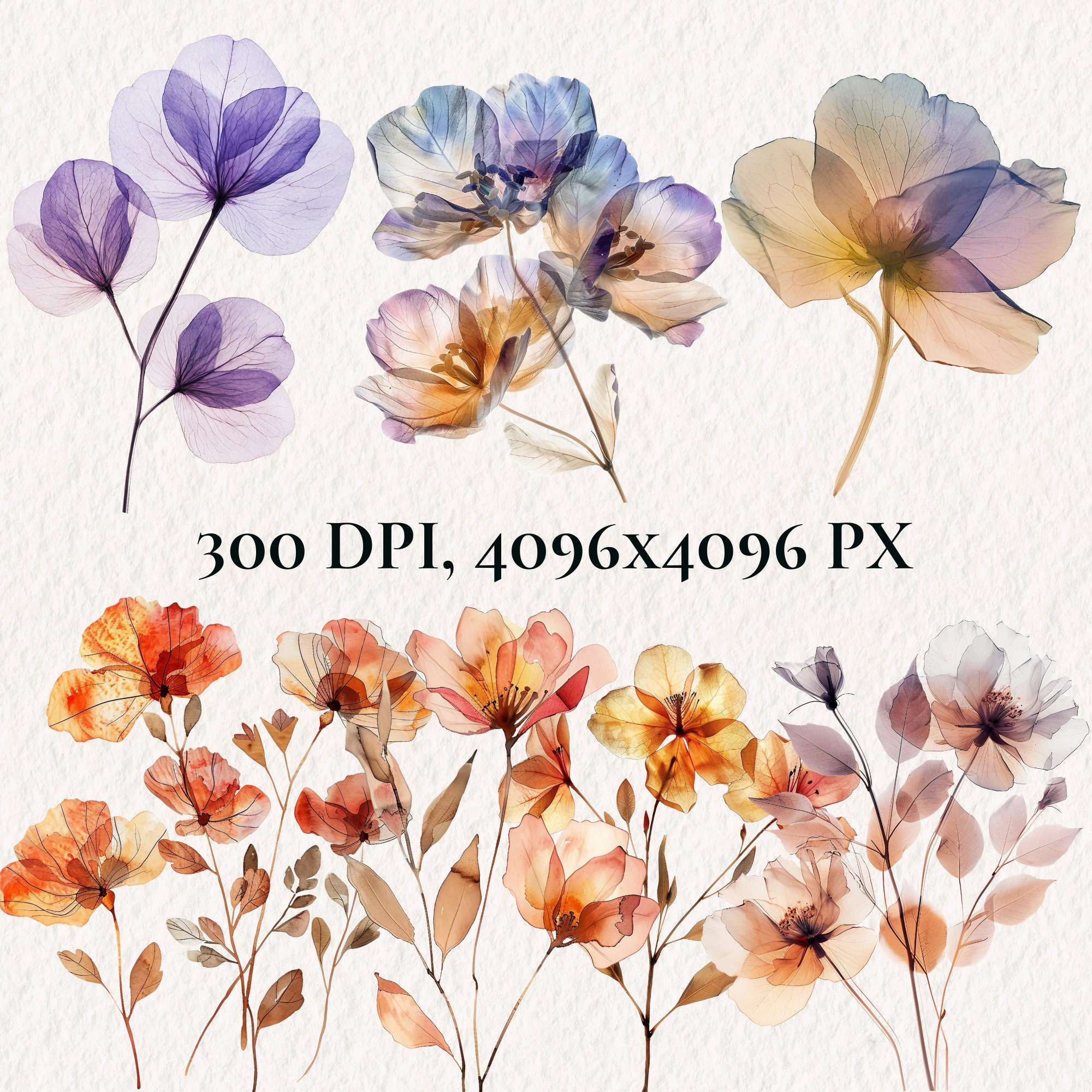 Abstract Flowers Clipart, Dried Flowers, Printable Watercolor Clipart ...