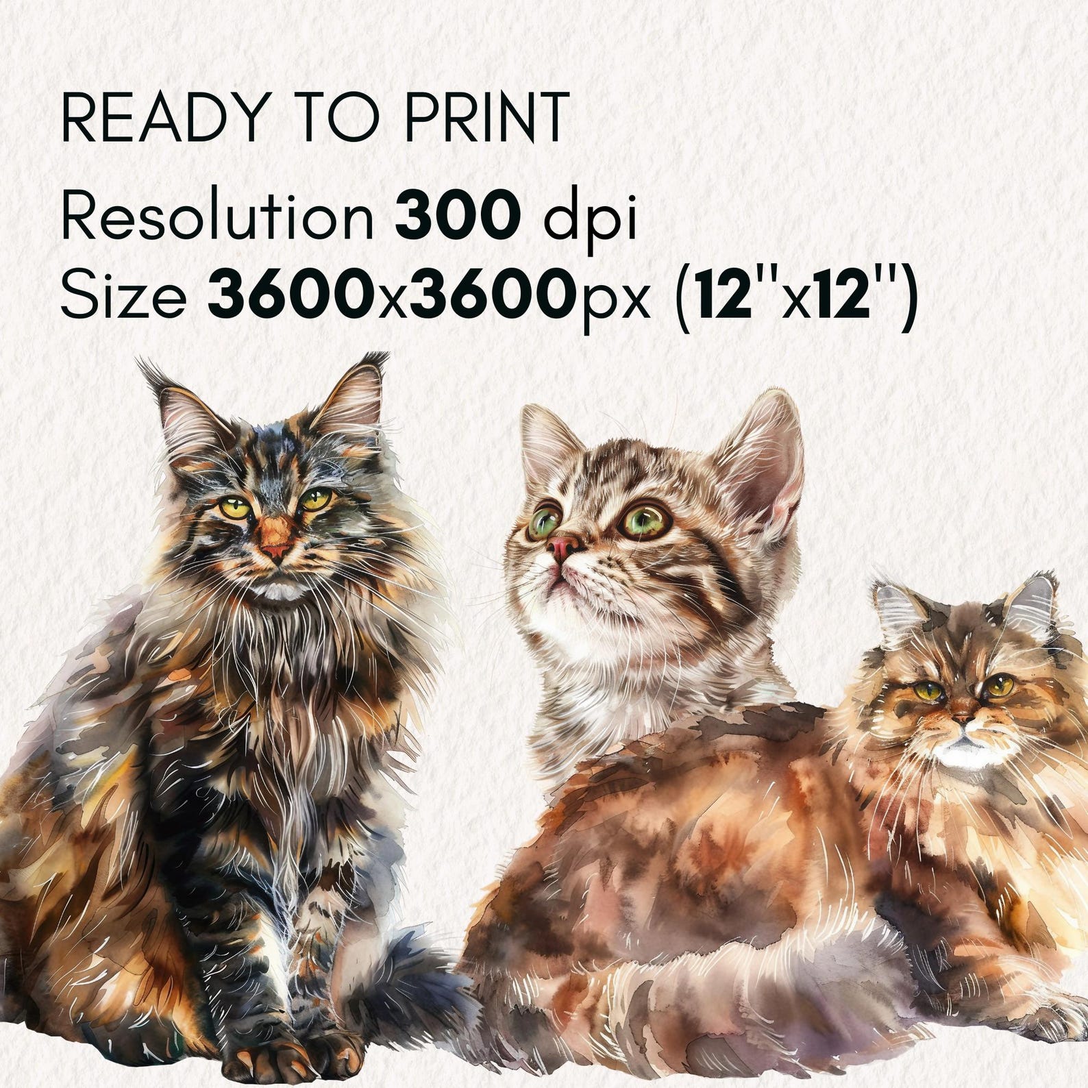 Watercolor Cats Clipart, Cat Clip Art, Cat Birthday Party Decor, Cat ...