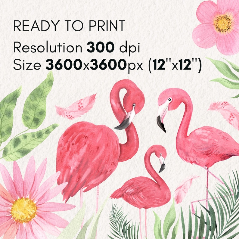 Floral Flamingo Clipart, Bird Clip Art, Tropical Flamingo, Watercolor ...