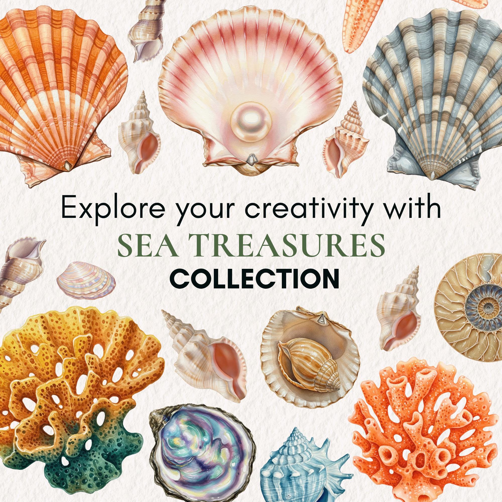 Watercolor Sea Shells, Coastal Clipart, Beach Shell PNG, Ocean Clipart ...