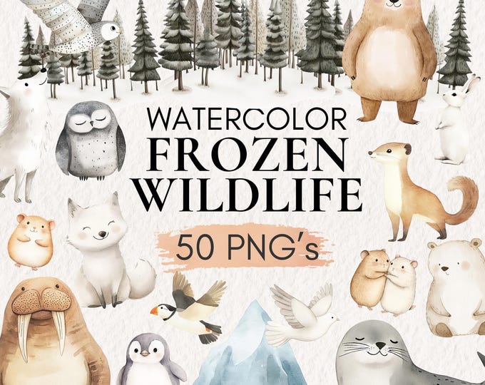 Arctic Animal Faces Clipart | Penguin | Seal | Polar Bear | Wolf - Etsy ...