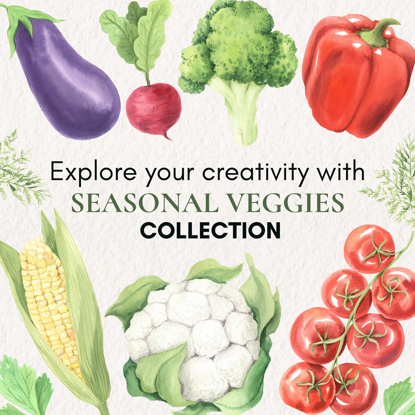 Watercolor Vegetables PNG Clipart Bundle, Tomato Clipart, Carrot ...