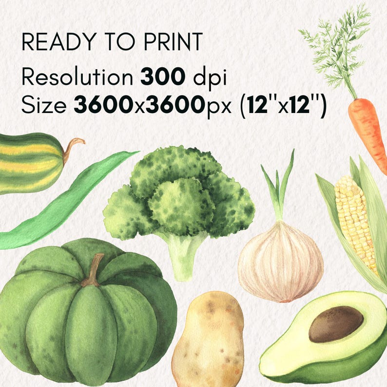 Watercolor Vegetables Clipart Bundle, 59 PNG Graphics (digital Download ...