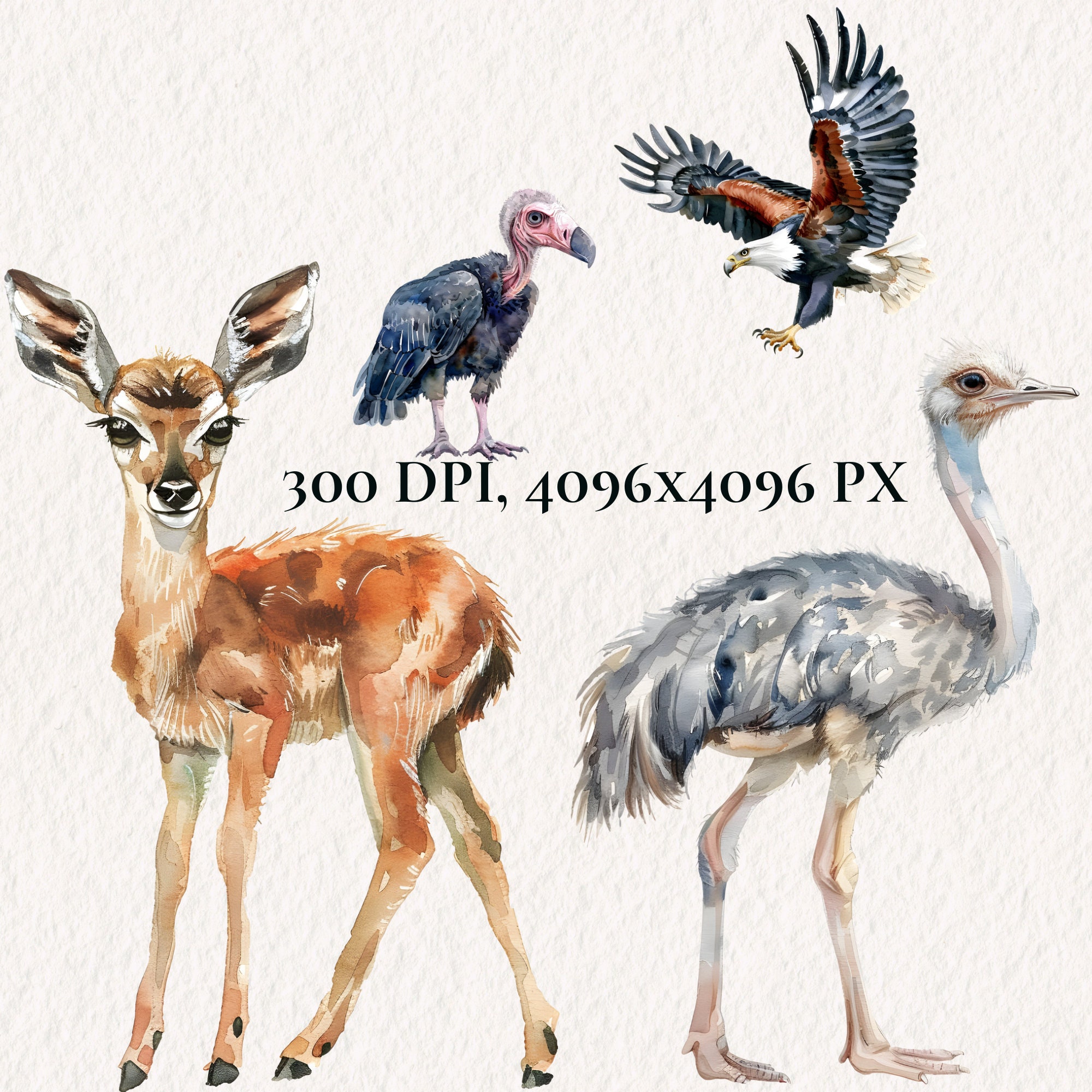 Watercolor Safari Animals Clipart, Safari Nursery Decor, Jungle Animals ...