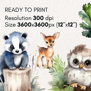 Watercolor Woodland Animals Clipart, Forest Houses (45 PNG) - Etsy