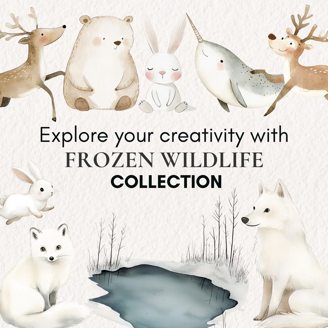 Arctic Animals Watercolor Clipart, Polar Bear, Fox, Owl, Wolf, Seal ...
