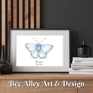 Cancer Zodiac Astrology Butterfly Art Print, Adonis Blue Butterfly ...