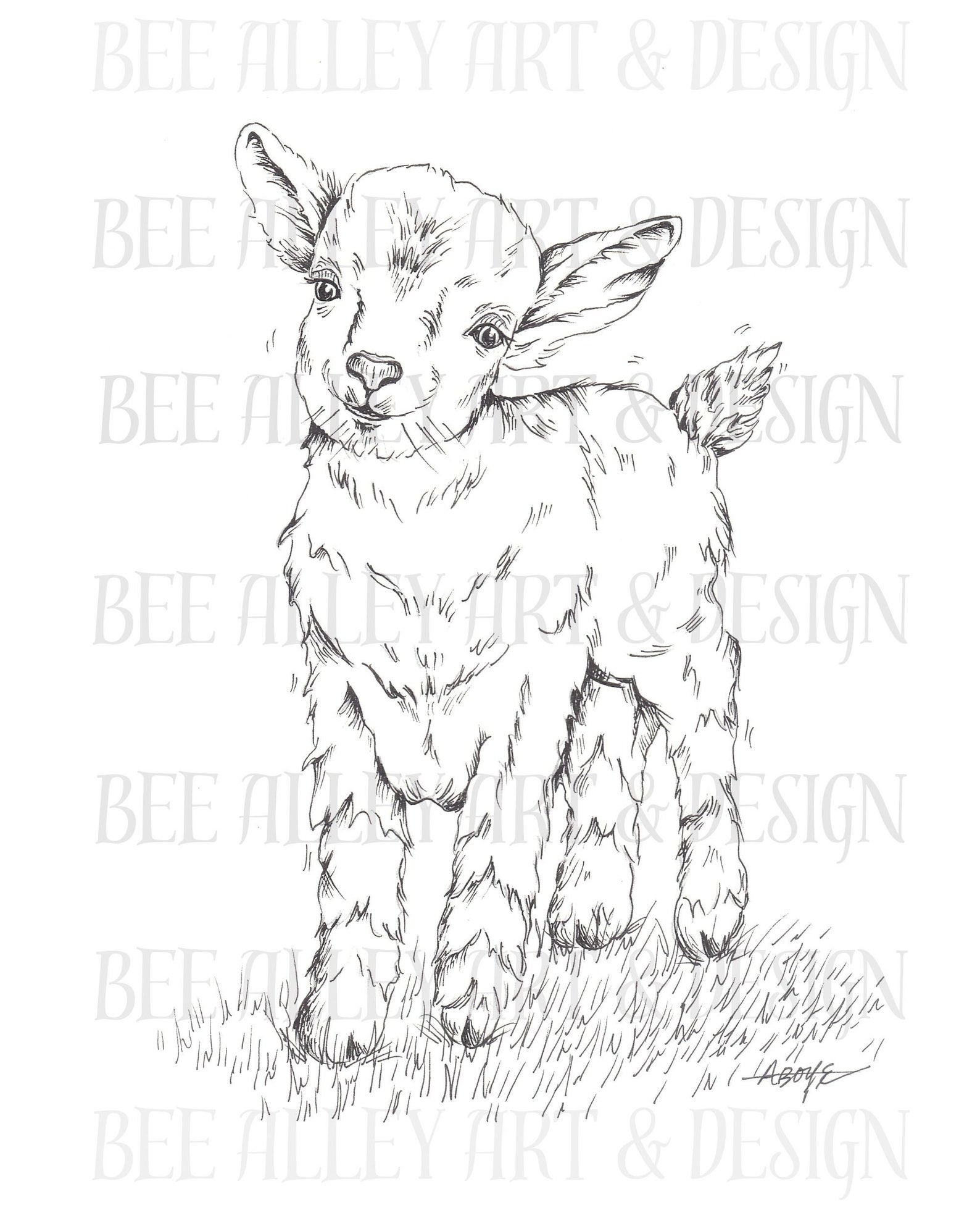 Pen & Ink Baby Goat Illustration, Black and White Animal Art, Original ...