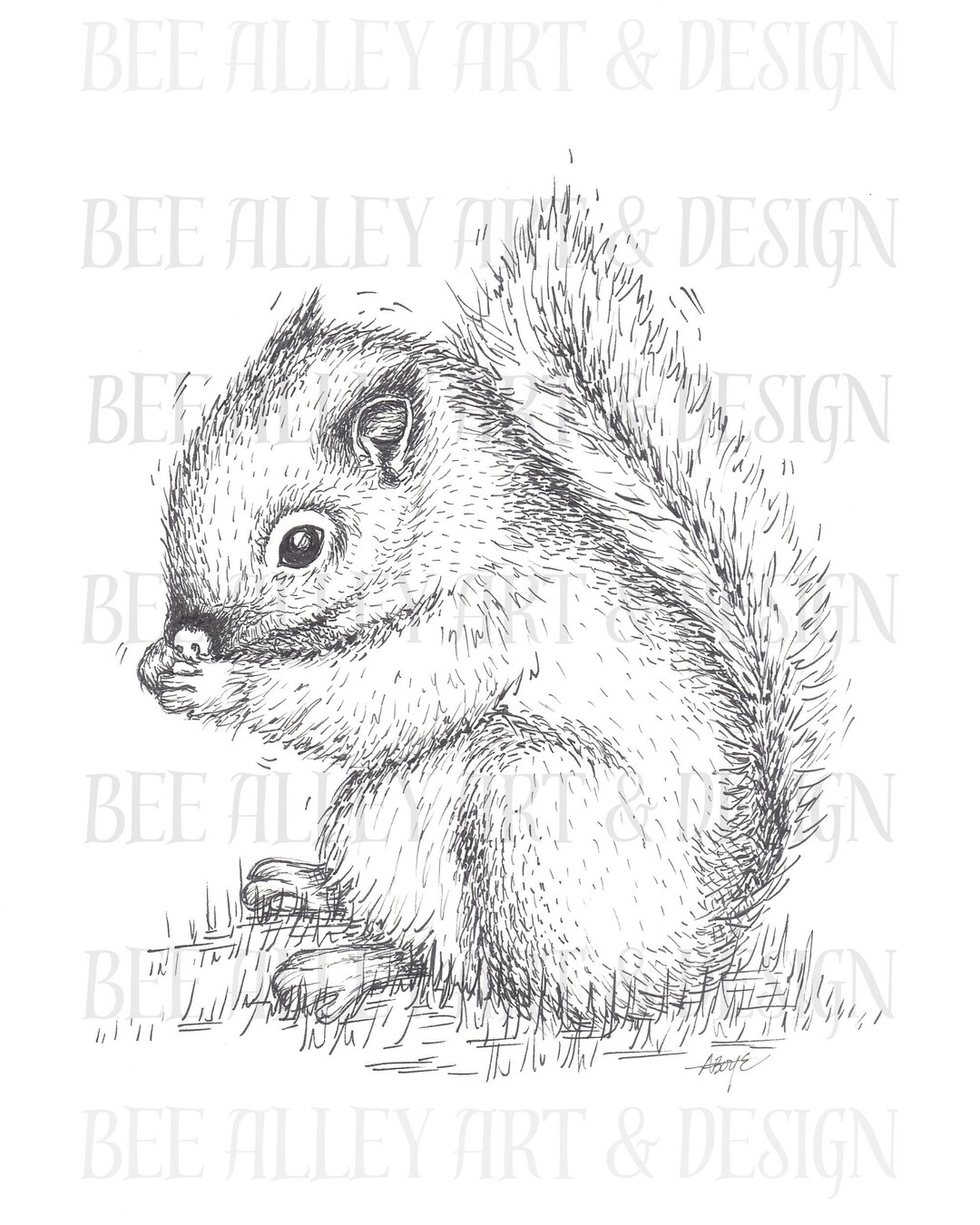 Pen and Ink Cute Squirrel Illustration, Black and White Animal Art ...