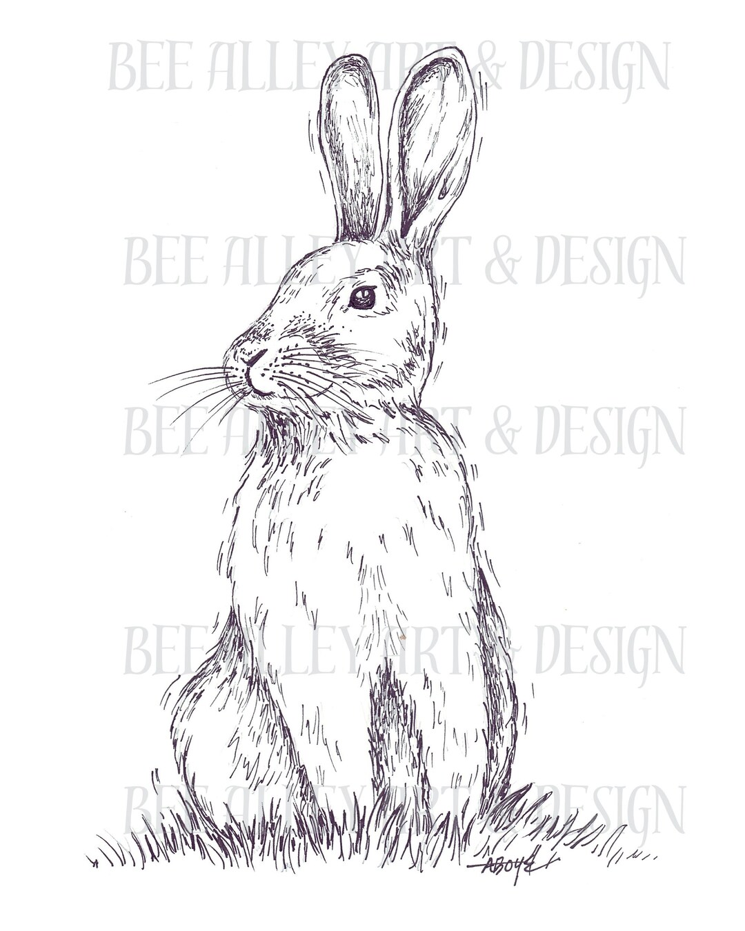 Bunny Illustration, Pen & Ink Artwork, Black and White Animal Art ...