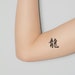 Japanese Kanji Character Henna Tattoo Set - Etsy
