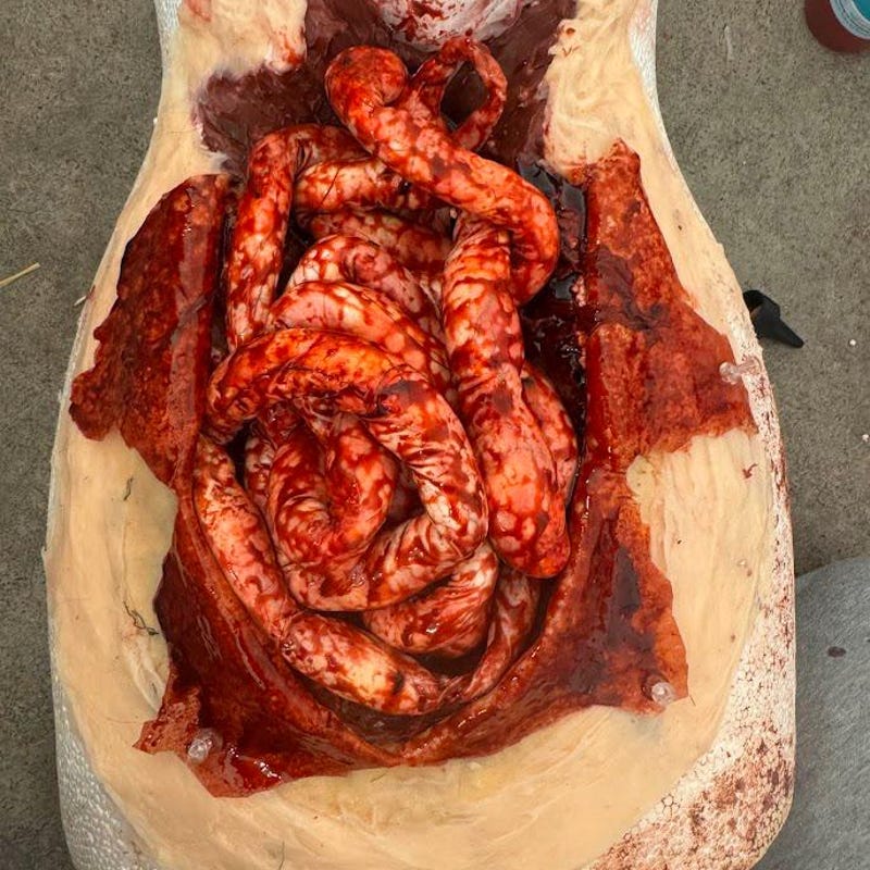 Intestines Props - Etsy