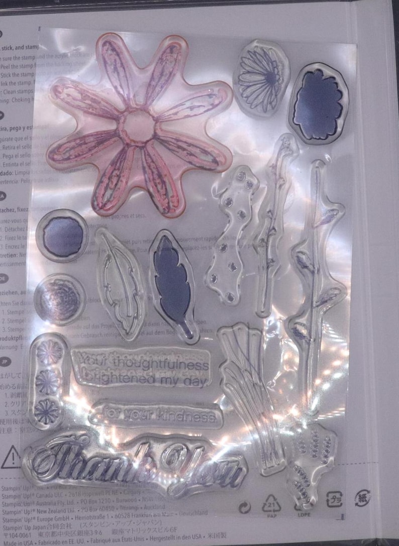 Stampin' UP! Daisy Delight Stamp Set - Etsy