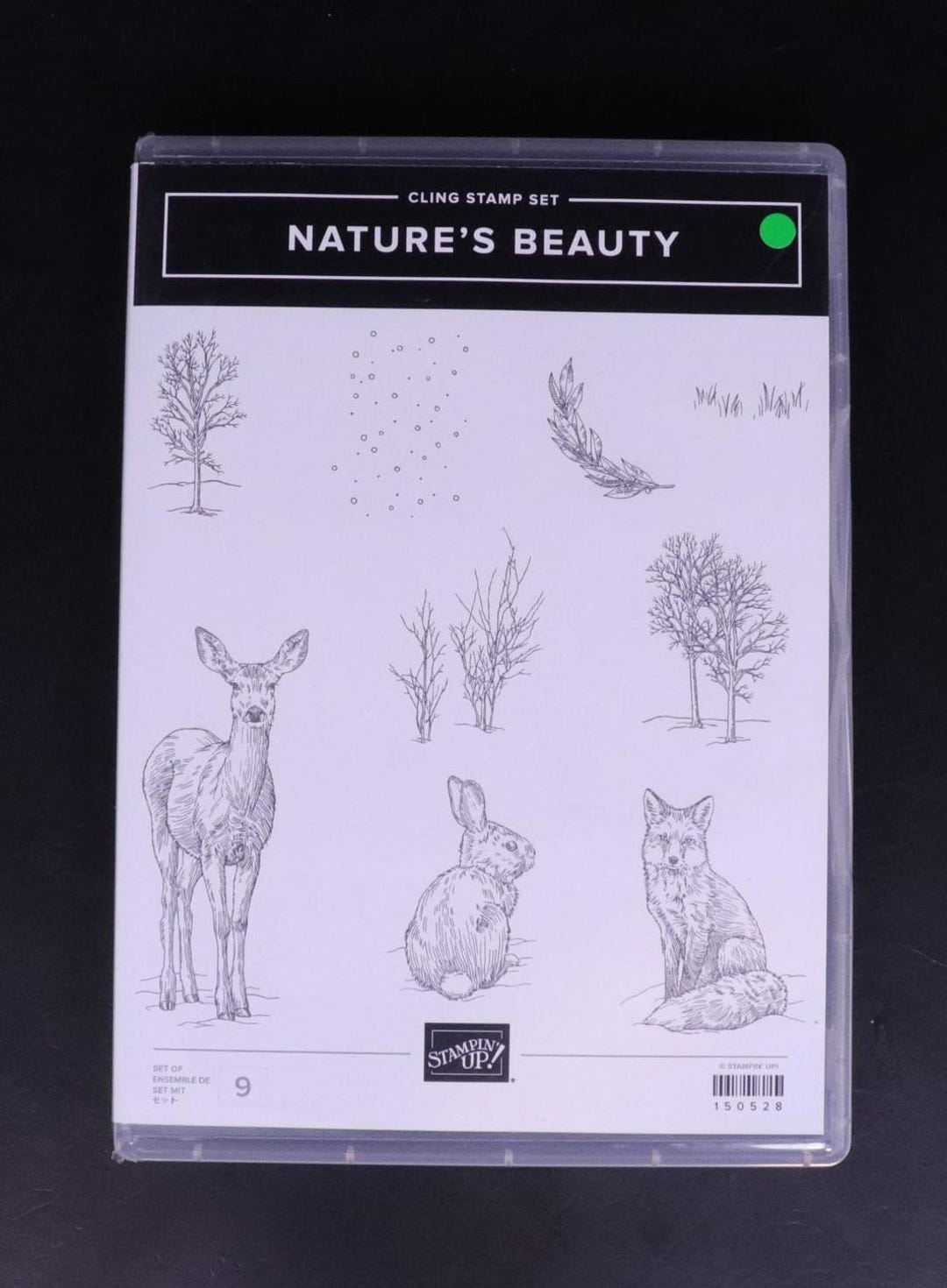 Nature's Beauty Stamp Set From STAMPIN UP - Etsy