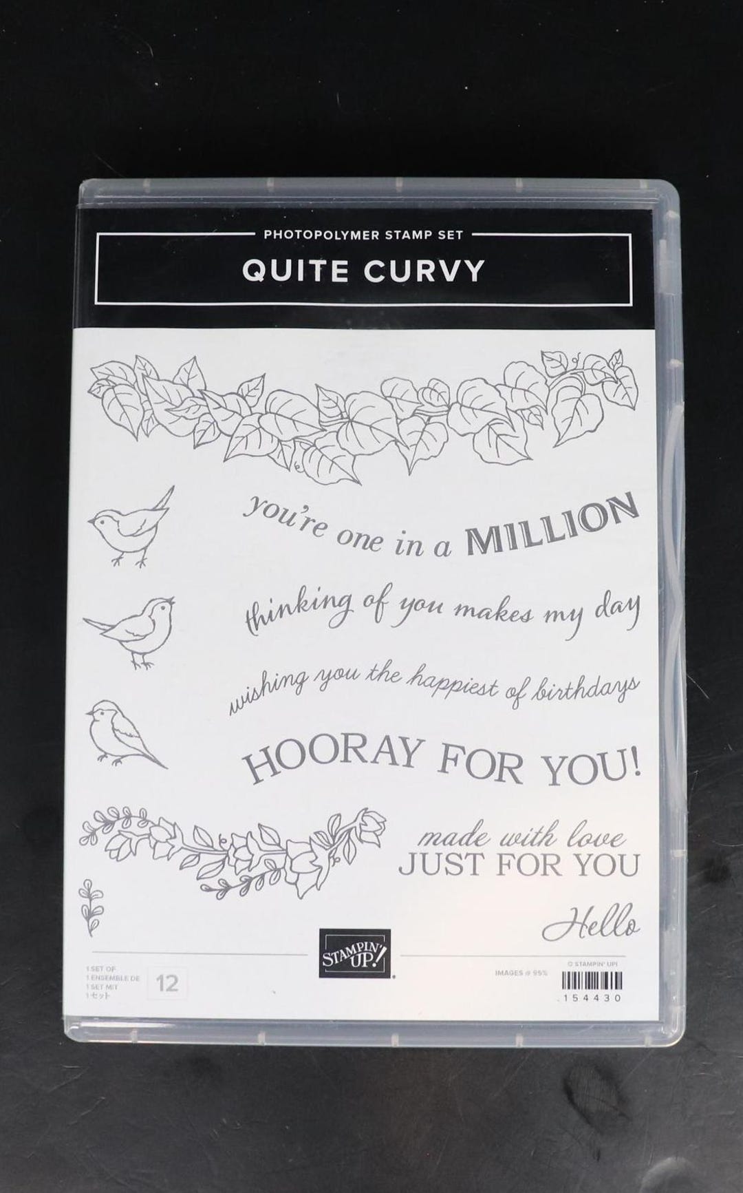 Quite Curvy Stamp Set From STAMPIN UP - Etsy