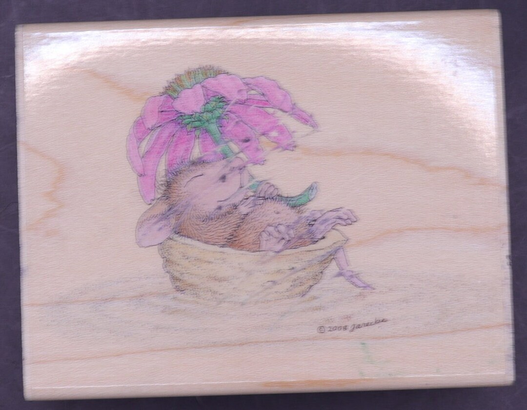 Stampabilities HMJR1076 House Mouse in A Nutshell Wooden Rubber Stamp ...