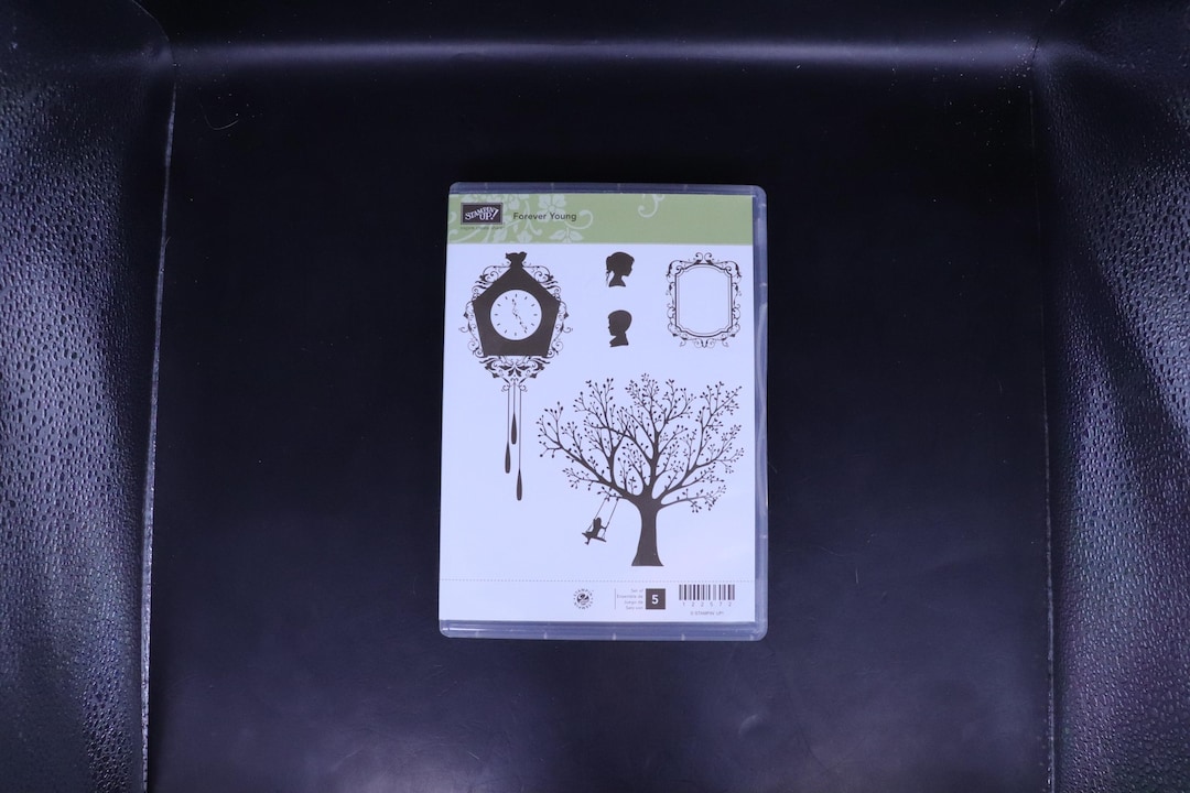 Forever Young Stamp Set From STAMPIN UP - Etsy