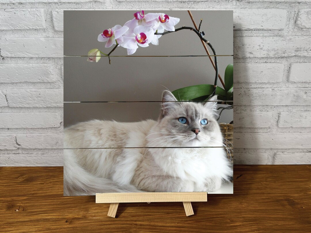 Custom Cat Portrait on Real Pallet Print Wood Christmas Birthday Gift ...