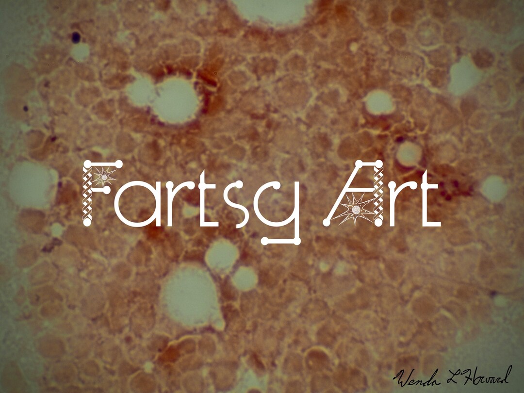 Pink Amoeba Shell Tissue Circles Original Photograph-canvas Art ...