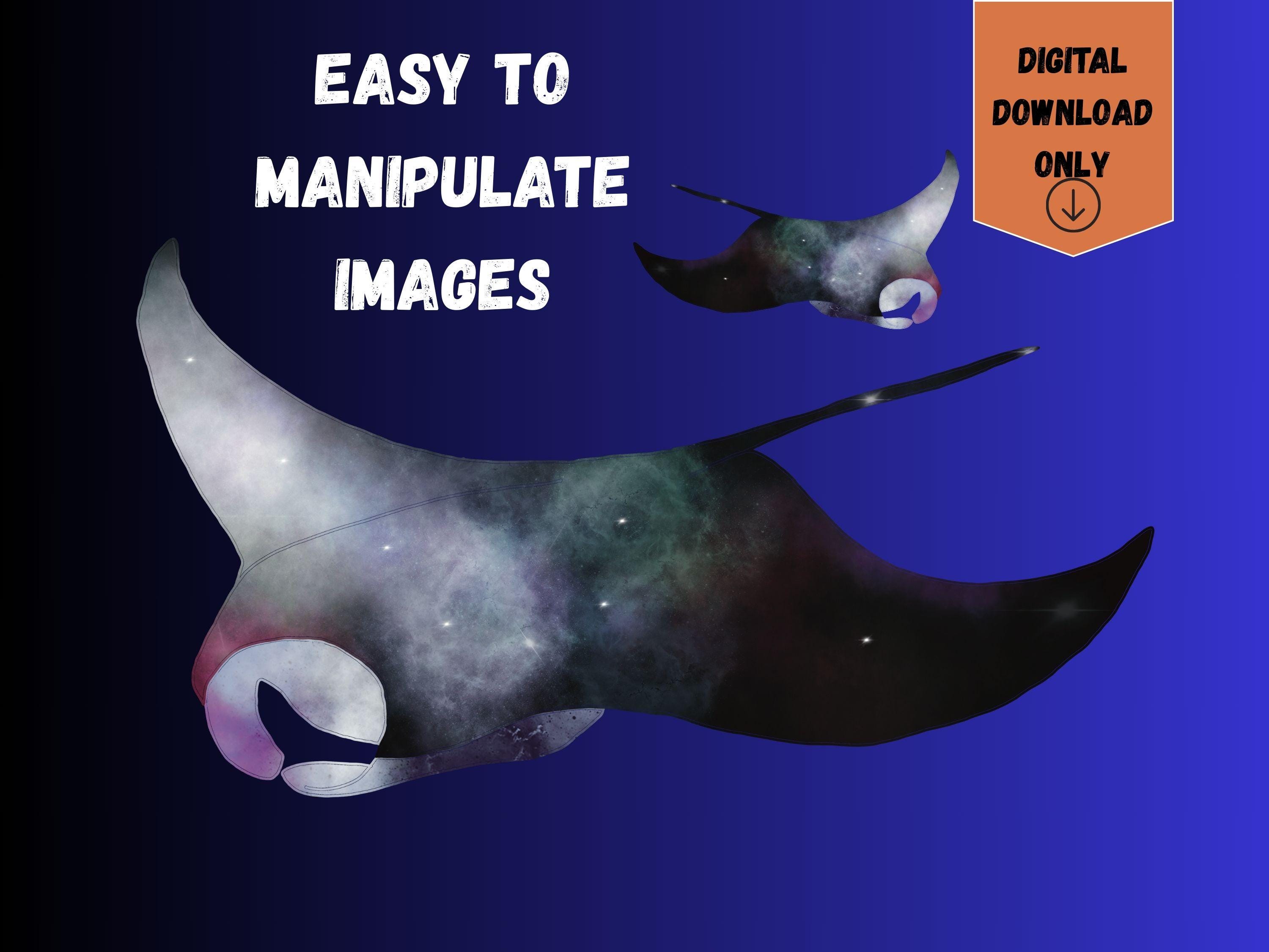 Celestial Manta Ray Clip Art File, PNG Transparent Background, JPG With ...