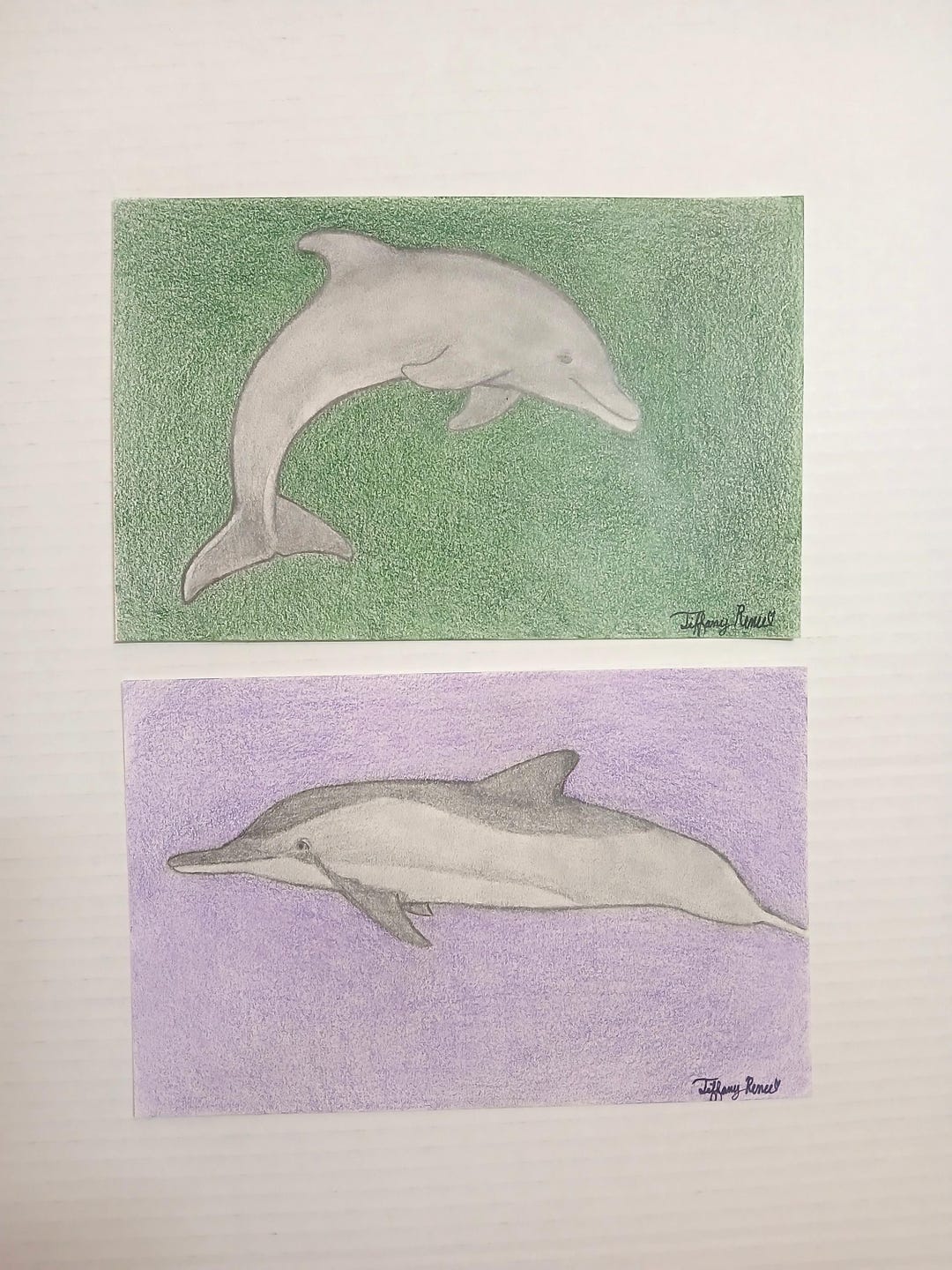 Customizable Hand-drawn Dolphin With Colored Background (made to Order ...