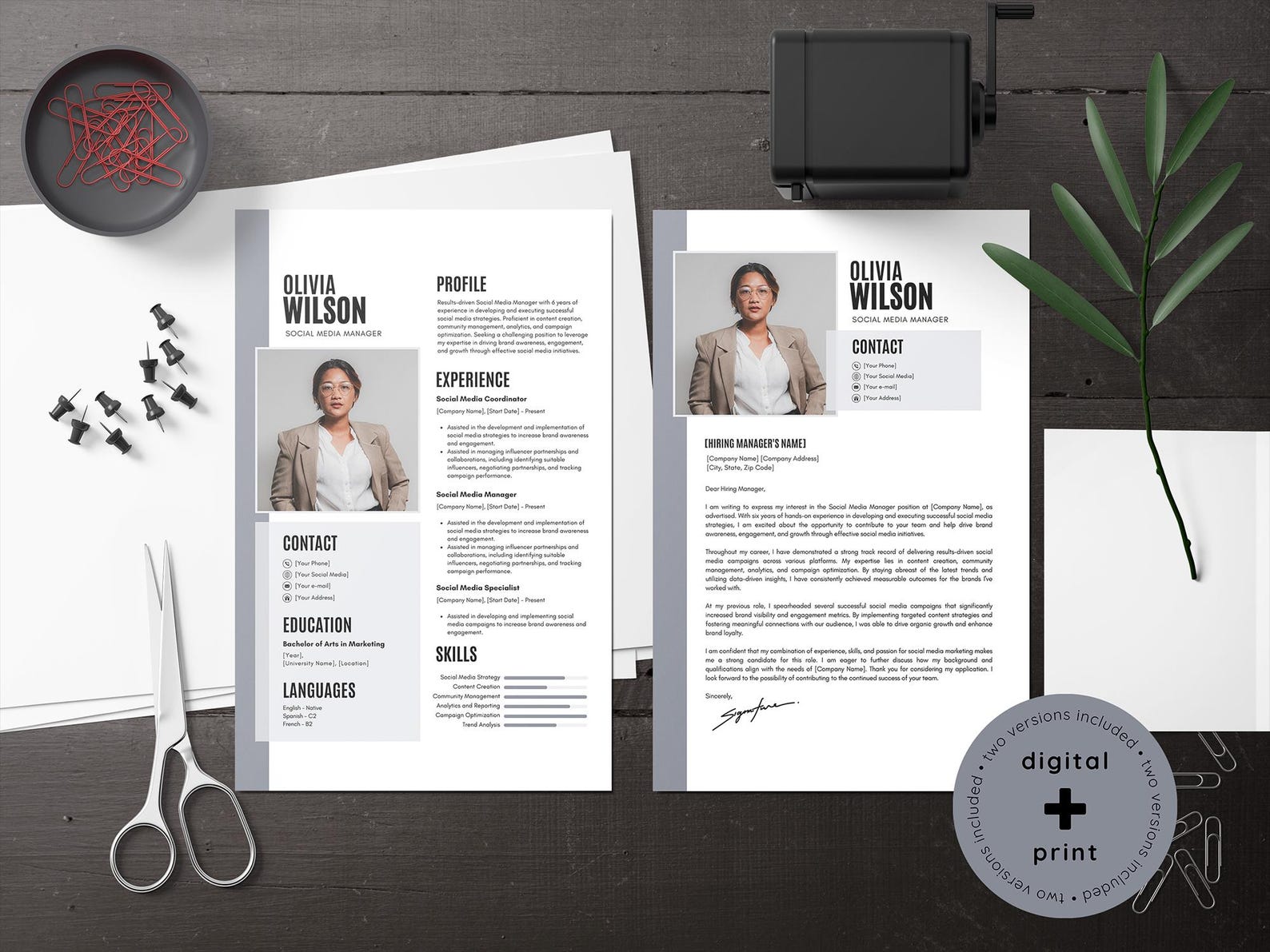 Resume Template Theme With Profile, Executive Curriculum Vitae ...
