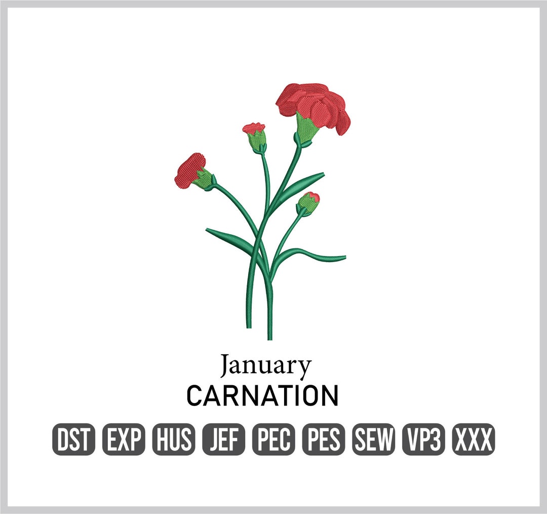 Carnation Flower Embroidery Design, January Floral Machine Embroidery ...